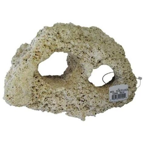 Aquarium Rocks & Decor | Arizona Aquatic Gardens