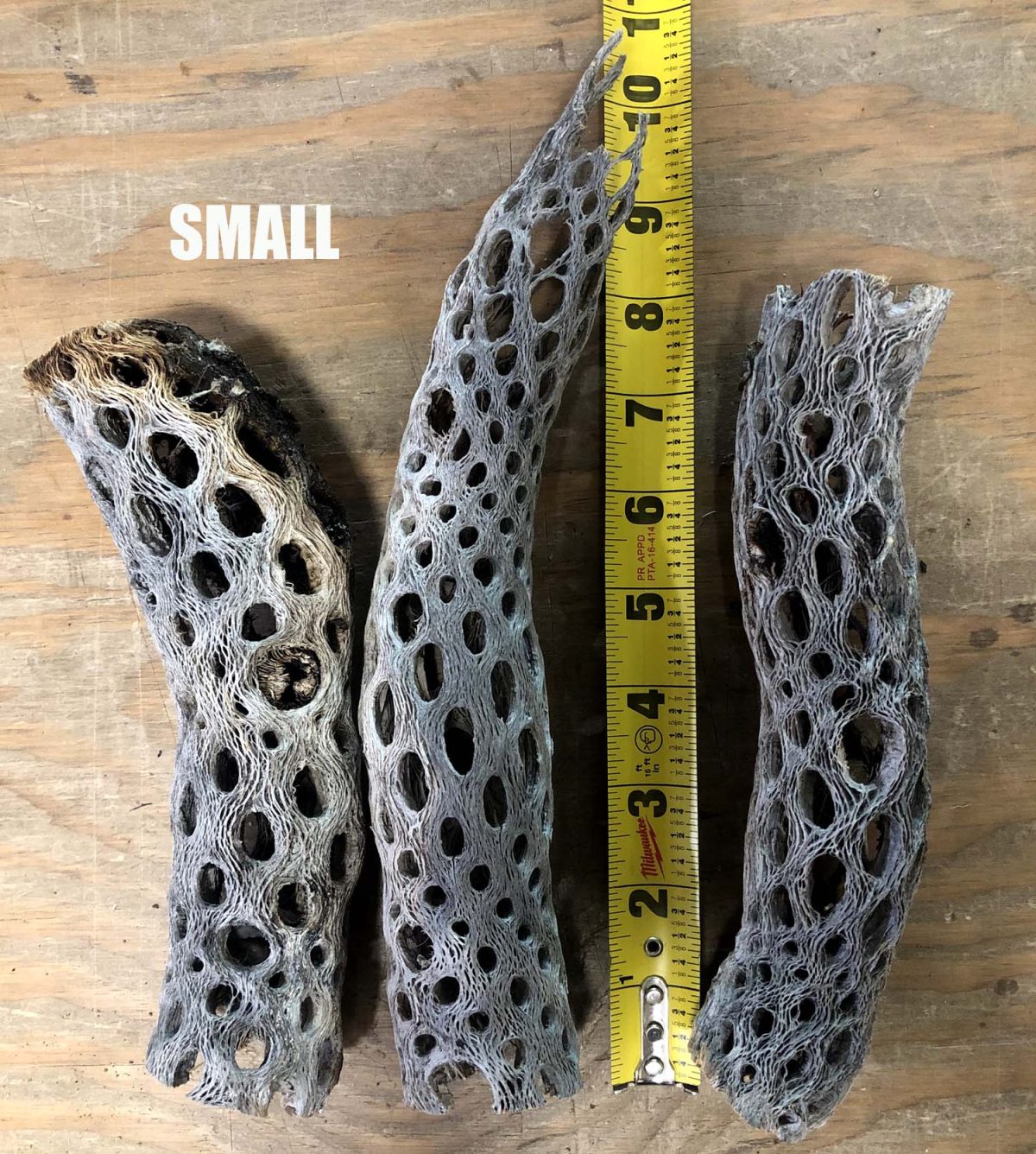 Dried Cholla Cactus Wood for sale AzGardens